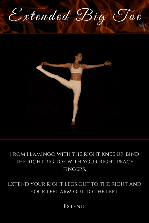 Classic Poses - Ritual Hot Yoga